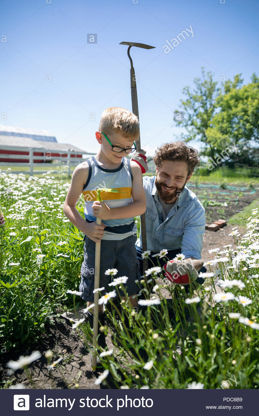 Father son gardening hi-res stock photography and images - Alamy