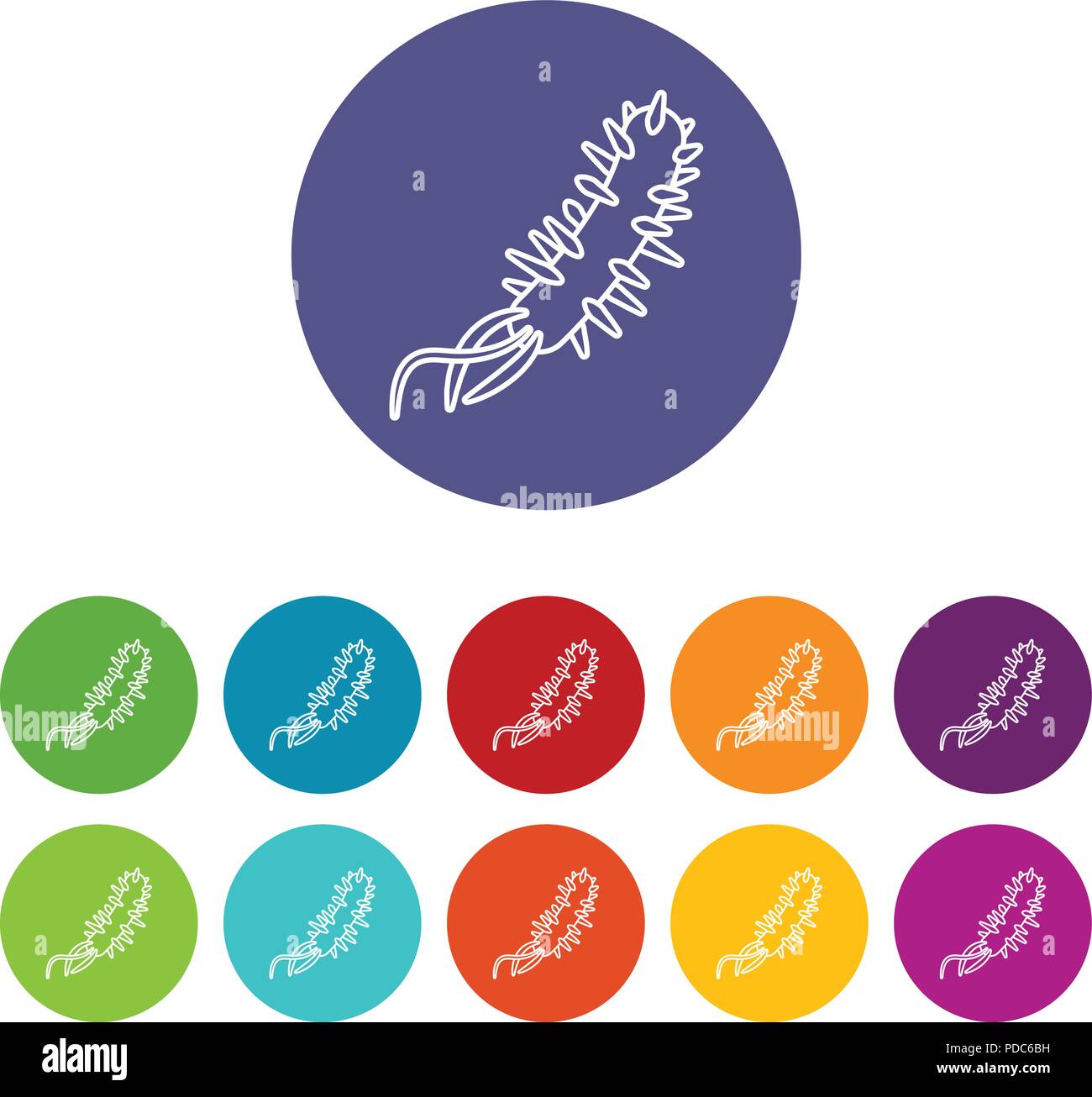 E coli bacteria icons set vector color Stock Vector Image & Art - Alamy
