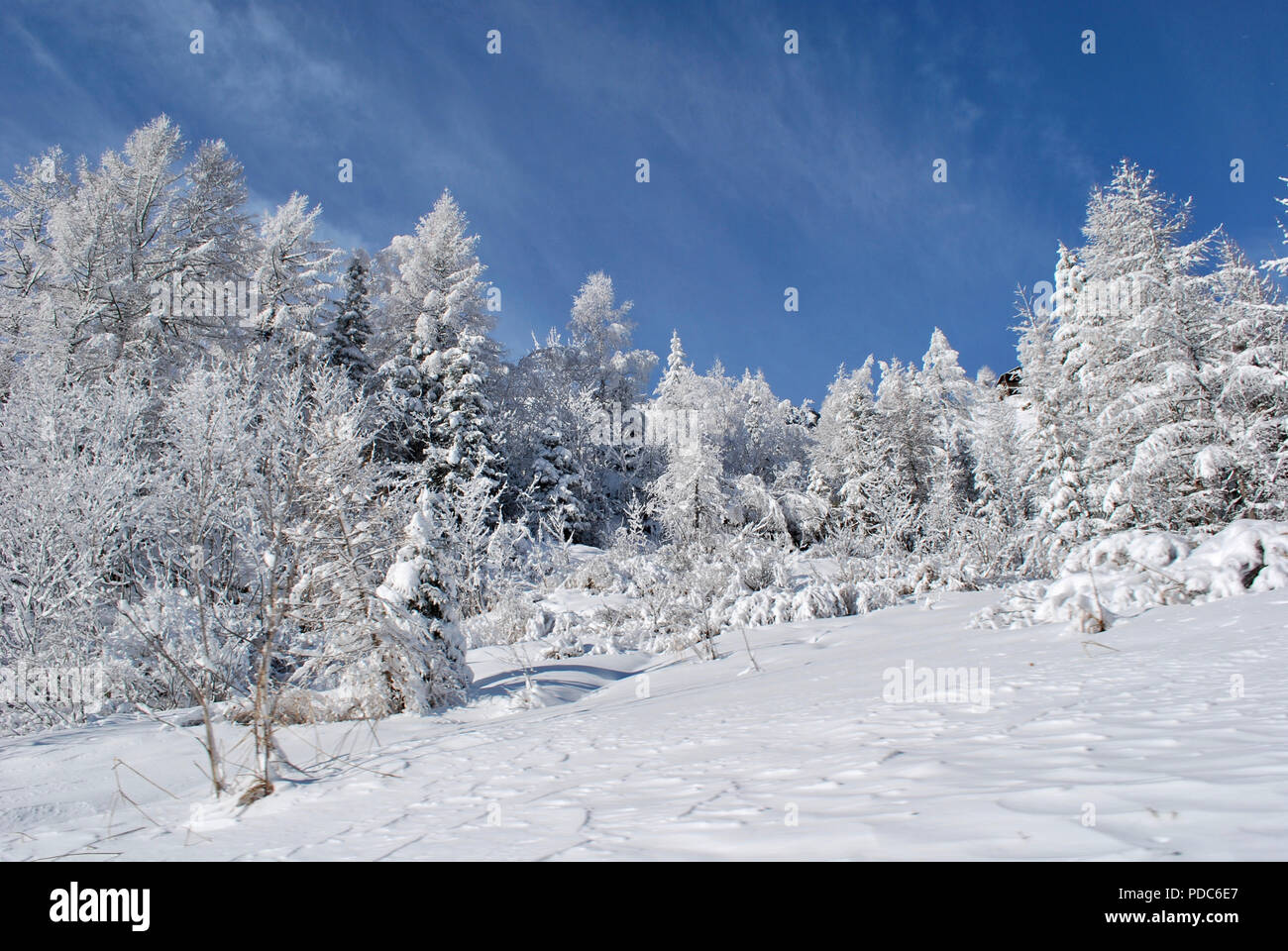 Landscape in Chamonix, France Stock Photo - Alamy