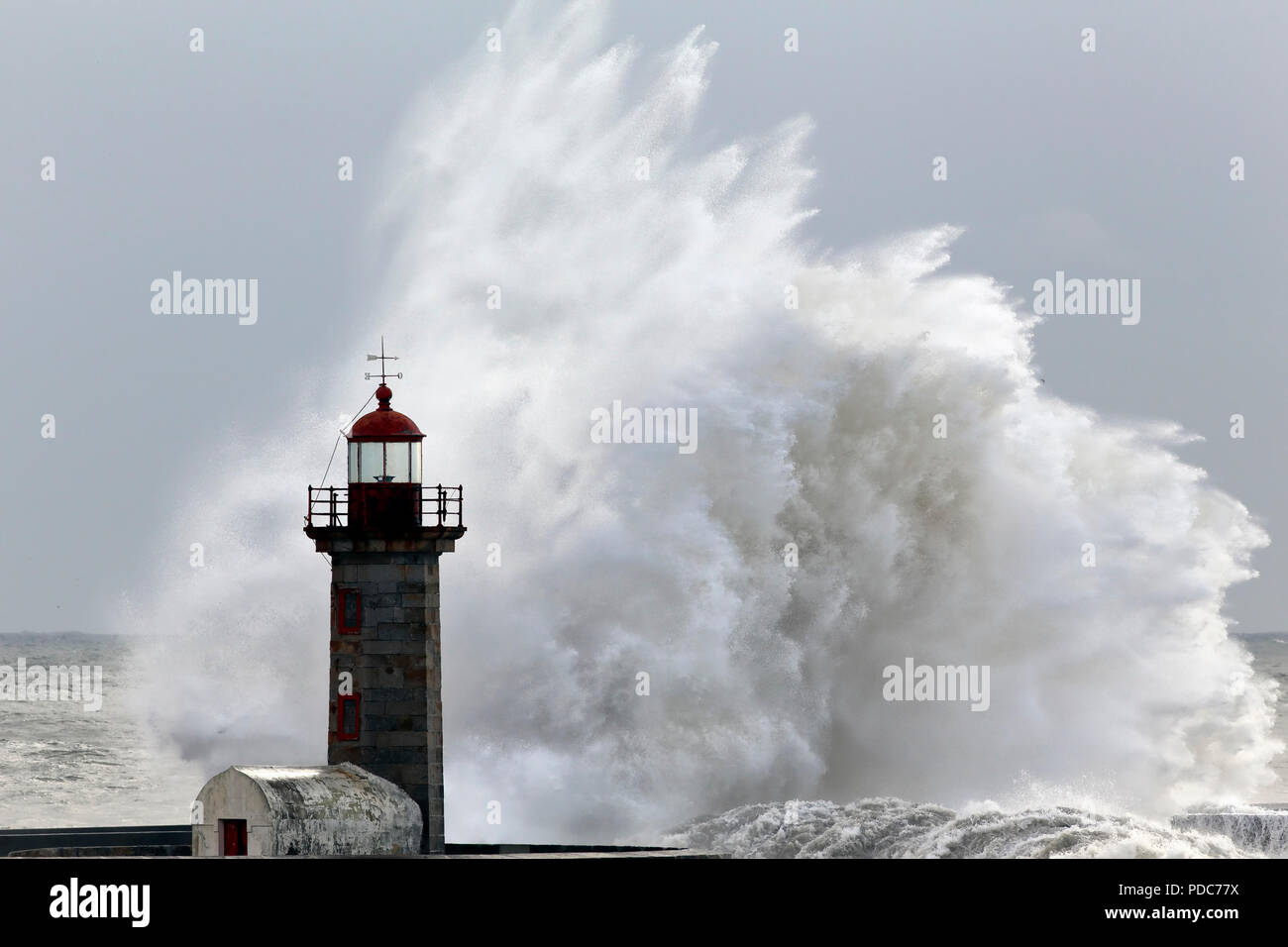Big wave tsunami over hi-res stock photography and images - Alamy