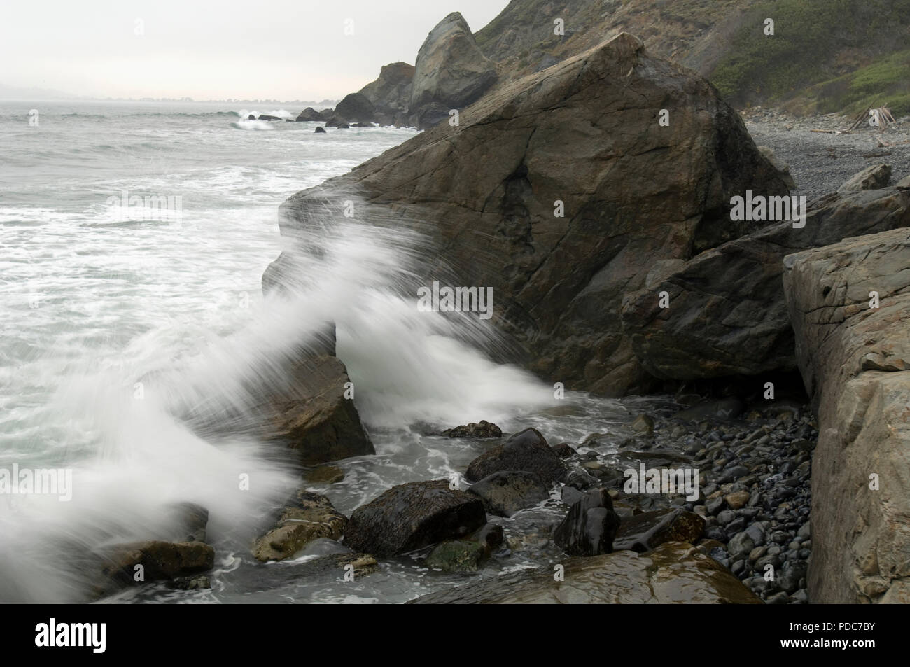 Mount tamalpais state park hi-res stock photography and images - Alamy