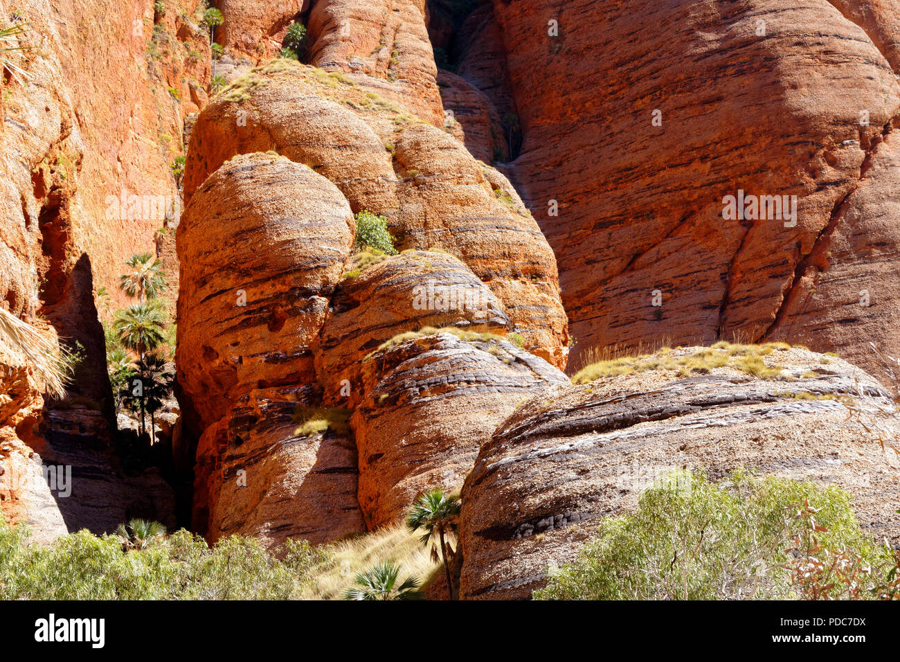 Sandstone rock formation, Purnululu National Park, Kimberley, Northwest ...