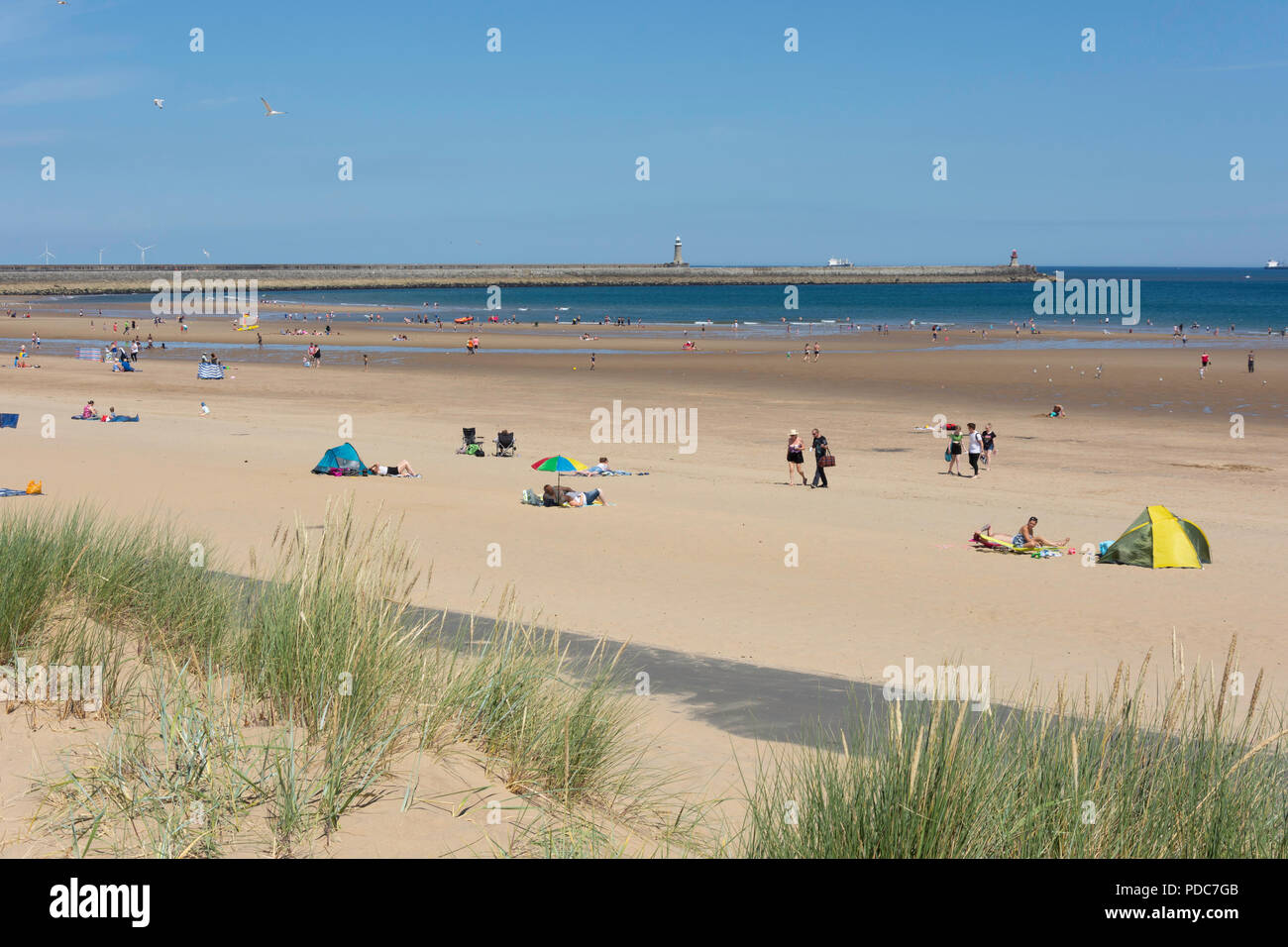 The dunes sandhaven beach shields hi-res stock photography and images ...