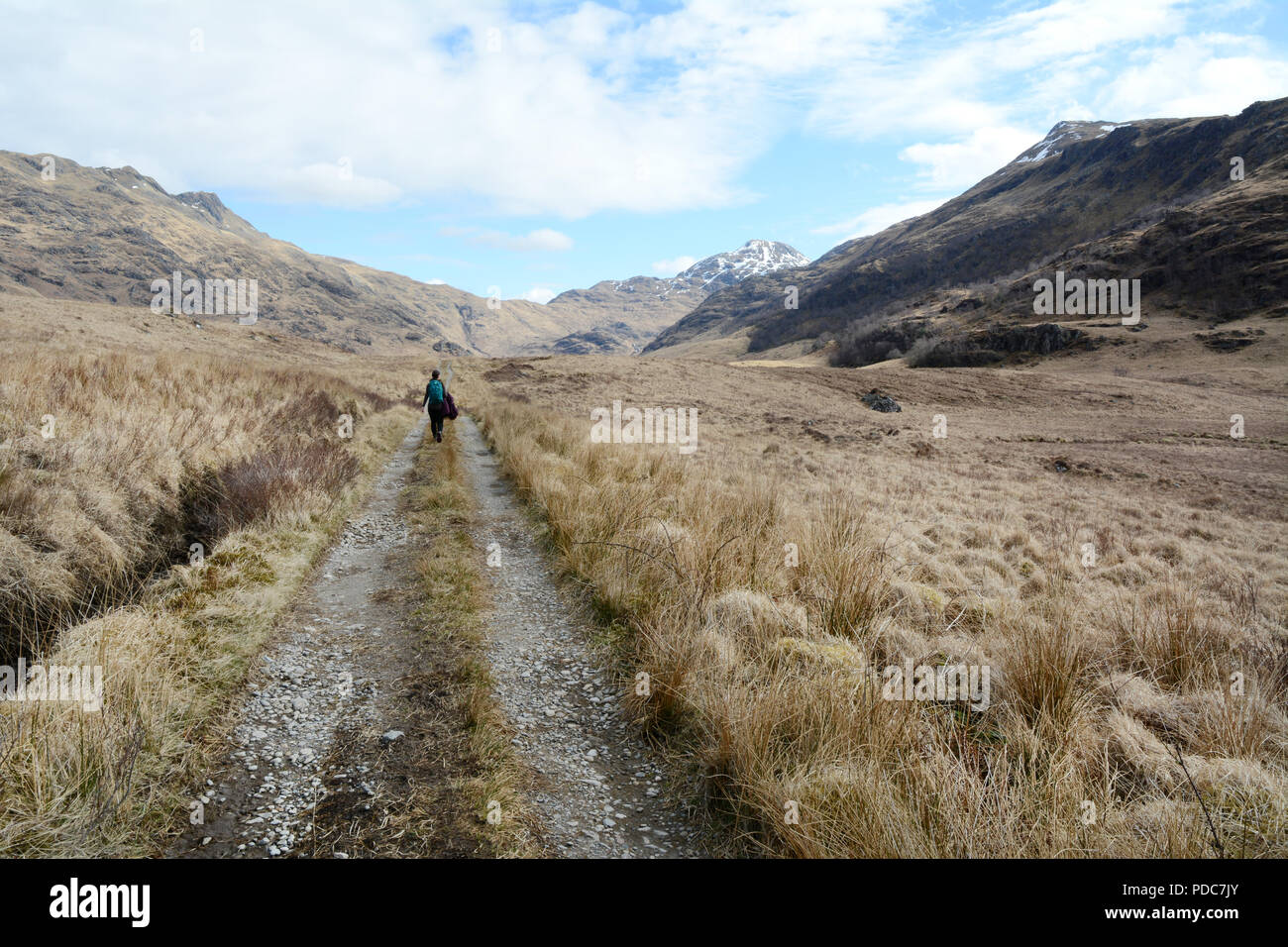 A lone female hiker walks along a hiking trail in the Scottish ...