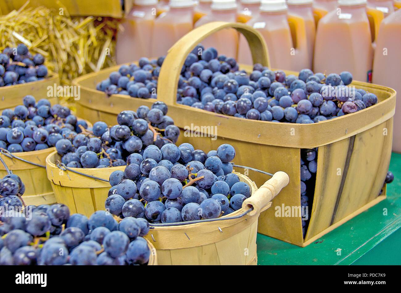 Concord grapes hi-res stock photography and images - Alamy