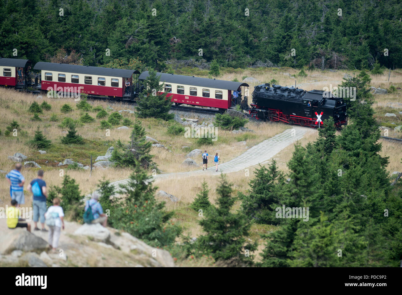 08 August 2018, Germany, Brocken summit: Visitors of the Brocken stand ...