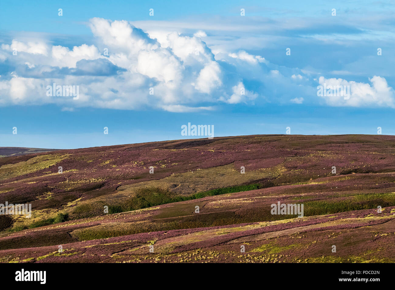 £23 High Resolution Stock Photography and Images - Alamy