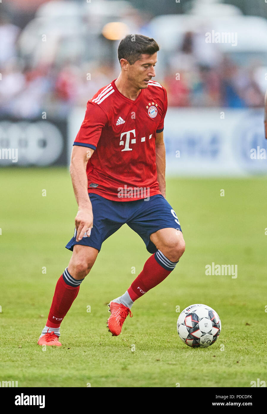 Lewandowski body hi-res stock photography and images - Alamy