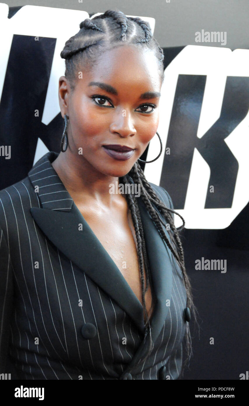 BEVERLY HILLS, CA - AUGUST 8: Actress Damaris Lewis attends the Los ...
