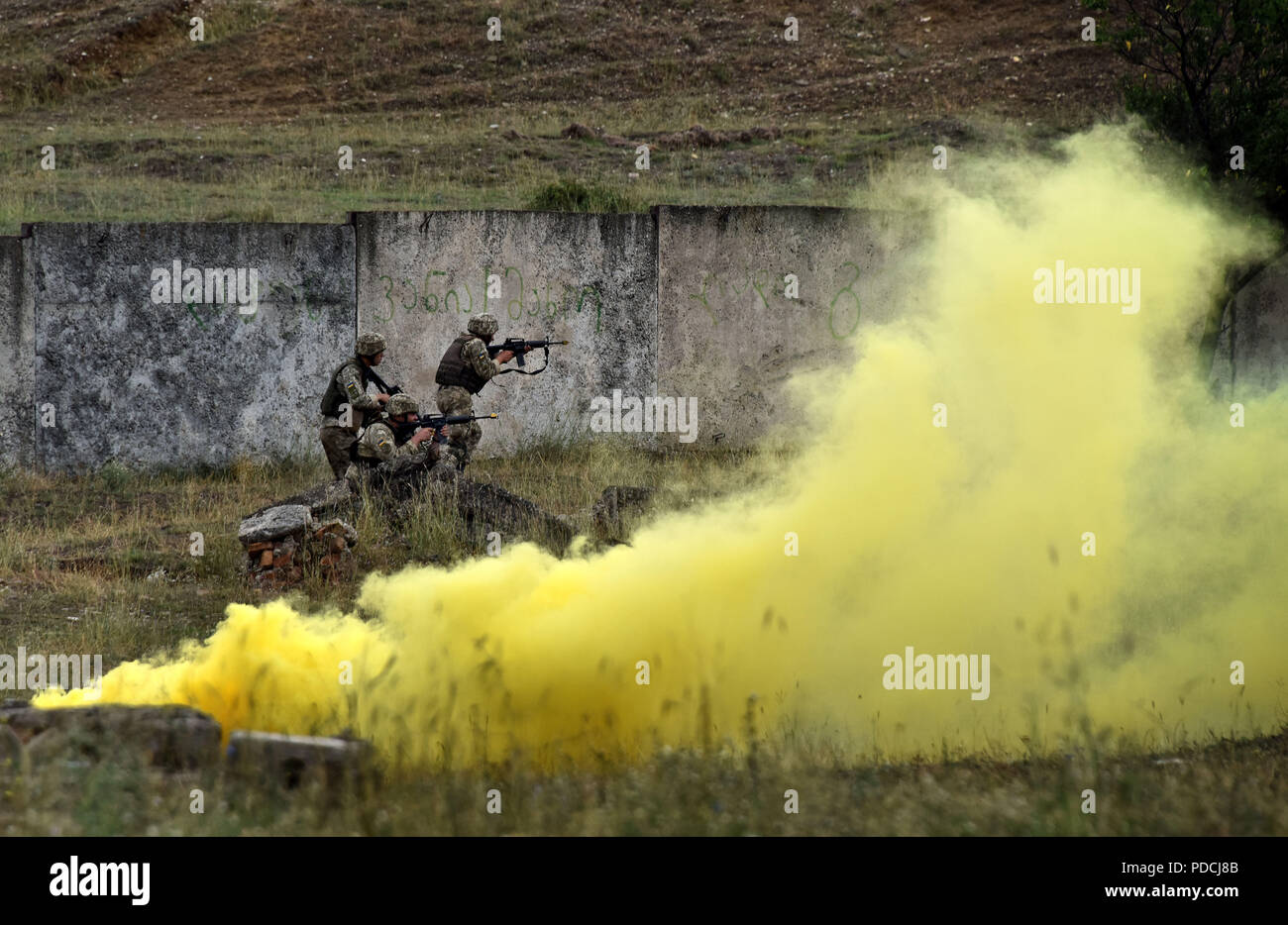 Within the framework of multinational military exercises Noble Partner ...