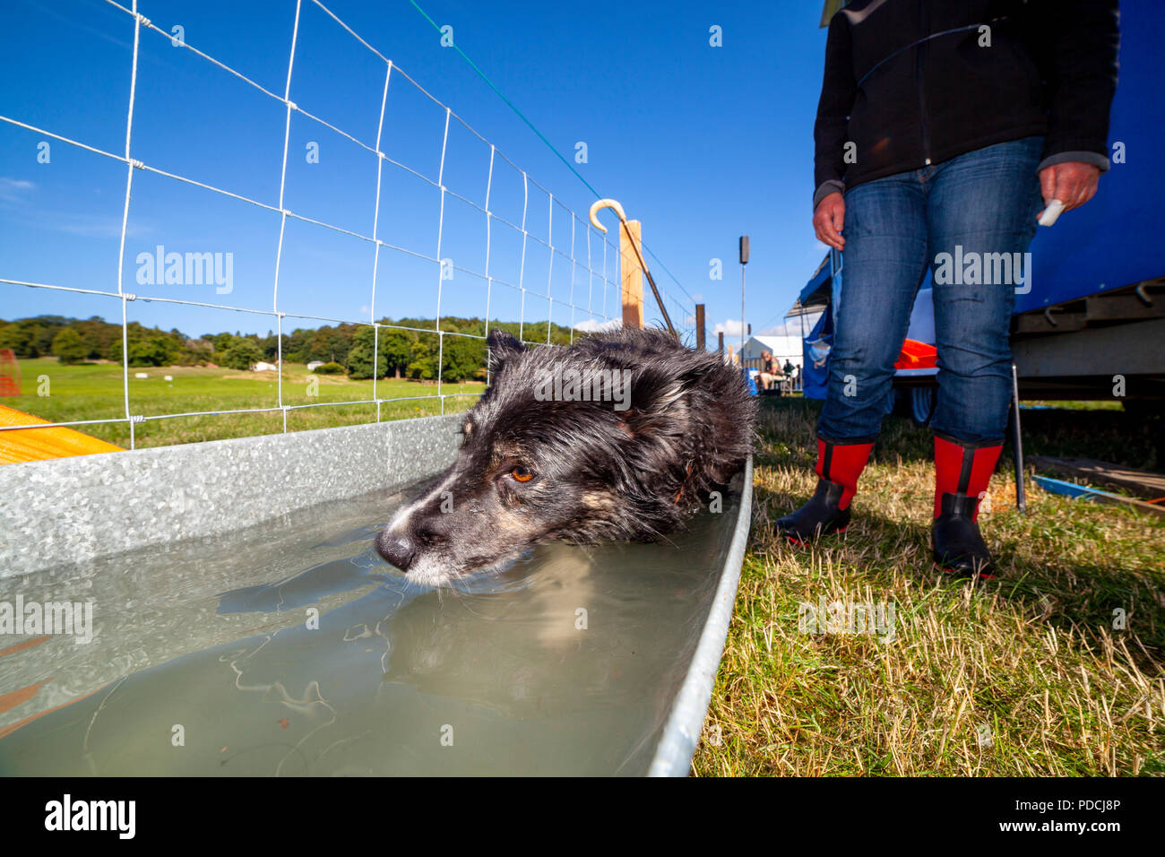 Nannerch, North Wales, . UK Weather: Hot and sunny weather perfect for ...