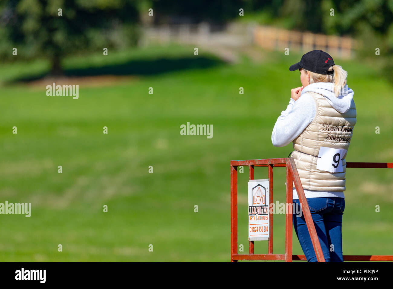 A female shepherdess walking with her shepherds crook duing the ...