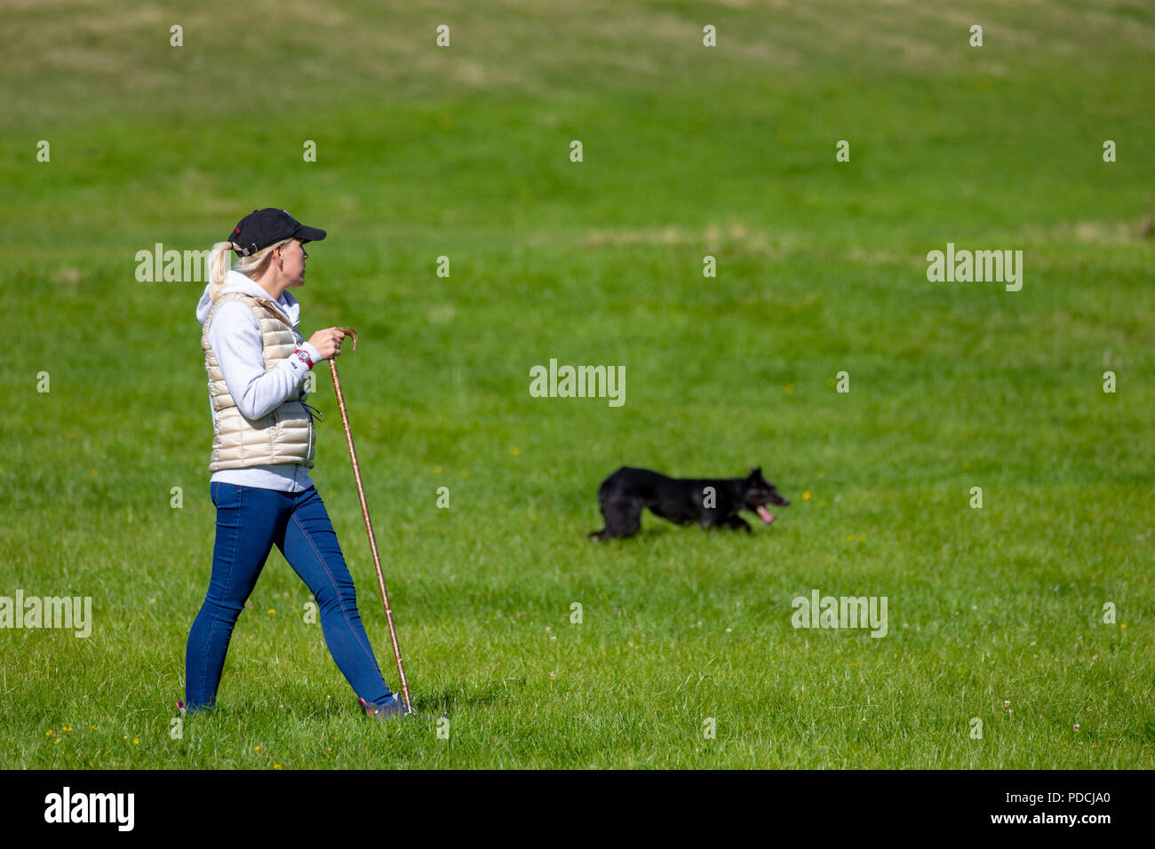 A female shepherdess walking with her shepherds crook duing the ...