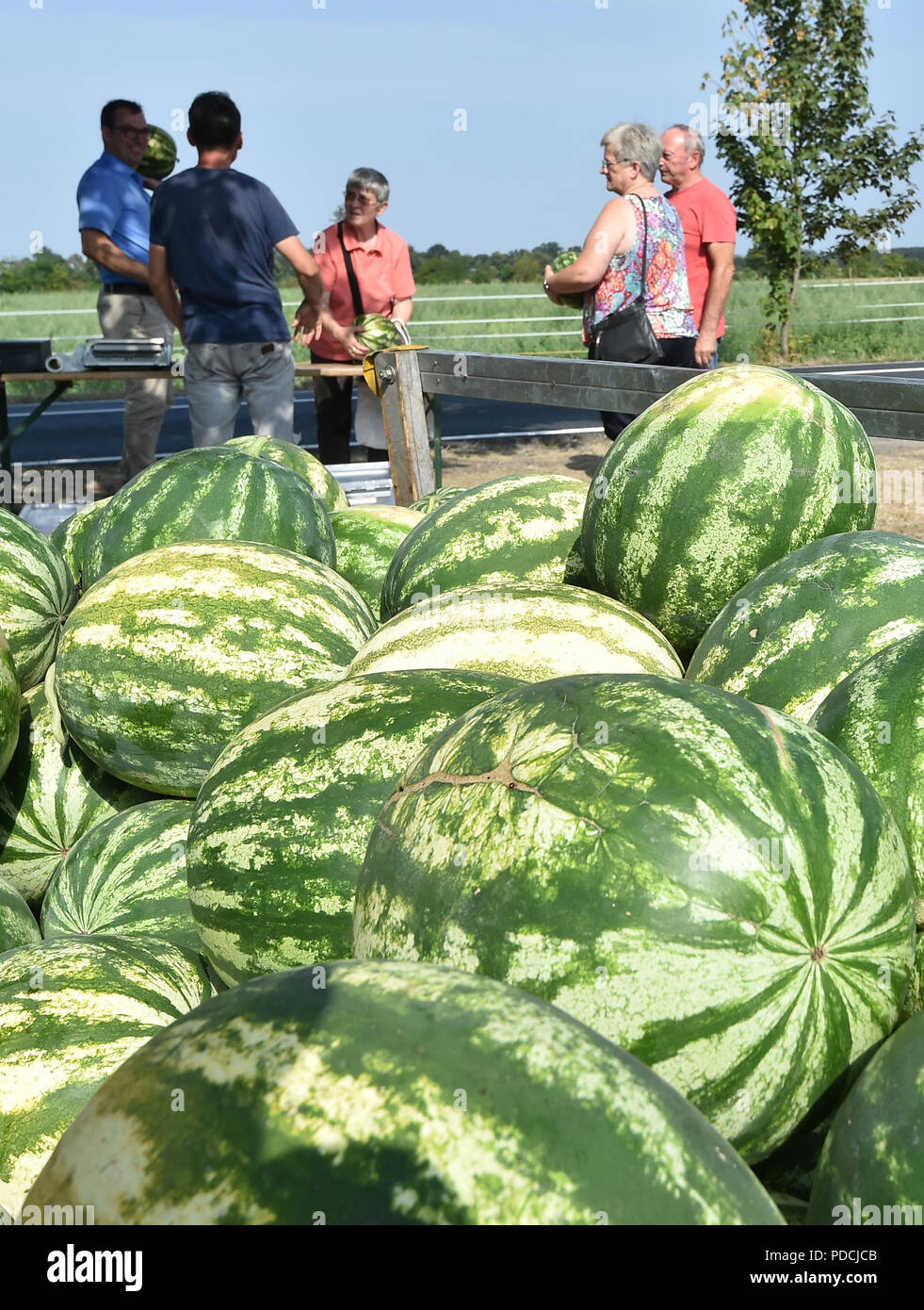 09 August 2018, Germany, Velten: Attila Pustti sells his harvested ...