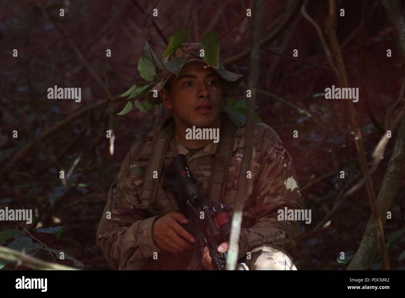 A U.S. Army Soldier halts in the jungle during mission at Jungle ...