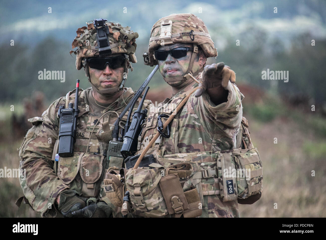 U.S. Army Col. Kevin Williams, brigade commander of 2nd Infantry ...
