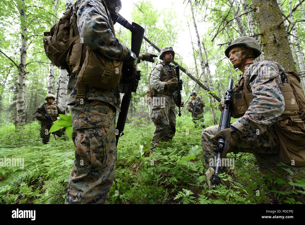 Marines with 3rd Battalion, 23rd Marine Regiment, discuss plans to ...
