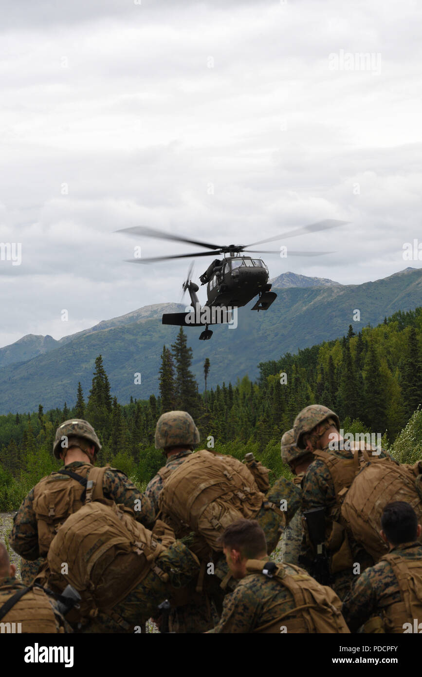 Marines with 3rd Battalion, 23rd Marine Regiment, wait to extract via ...