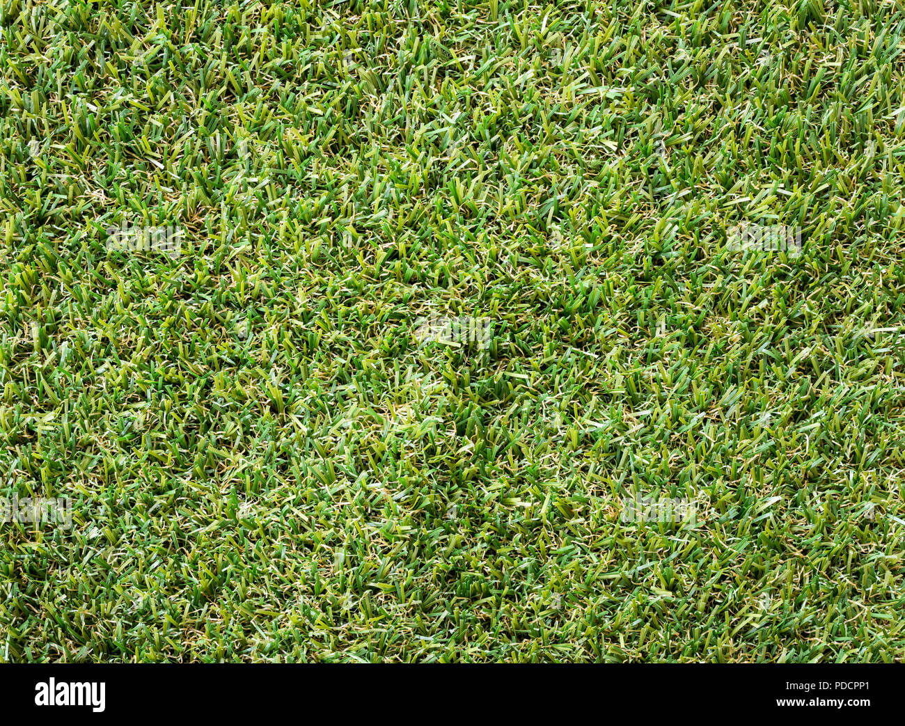 Beautiful green grass texture from golf course Stock Photo - Alamy