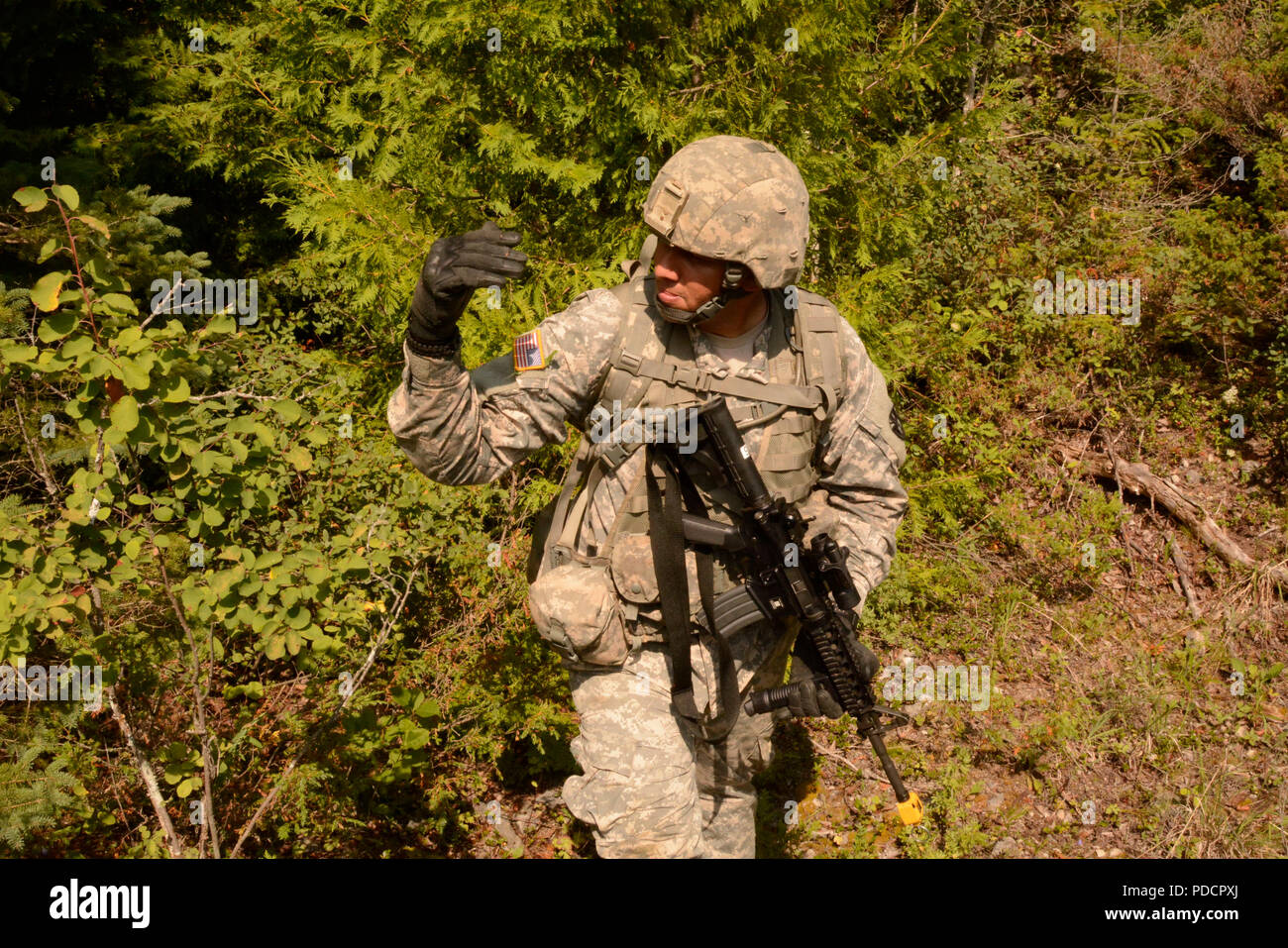 1 296th infantry battalion hi-res stock photography and images - Alamy