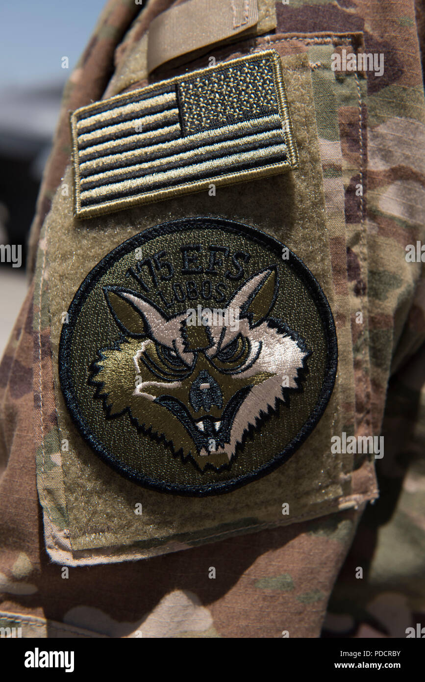 An airman from the 175th Expeditionary Fighter Squadron, South Dakota ...