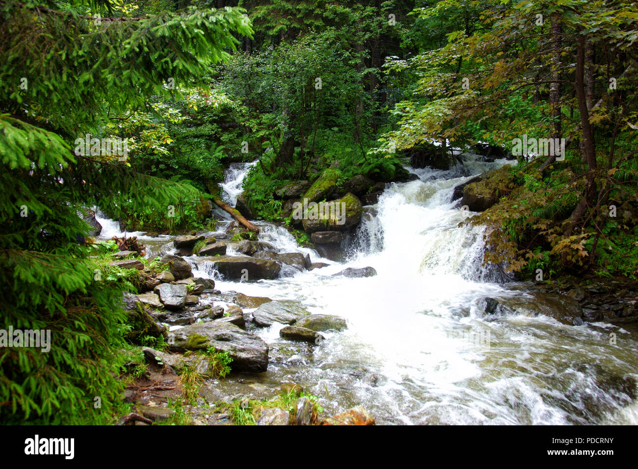 Nature flowing hi-res stock photography and images - Alamy