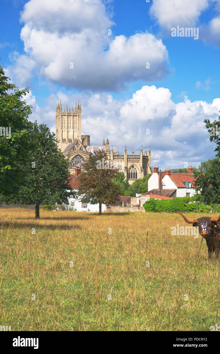 Cathedral rear view with highland bull sculpture. Wells, Somerset, UK ...