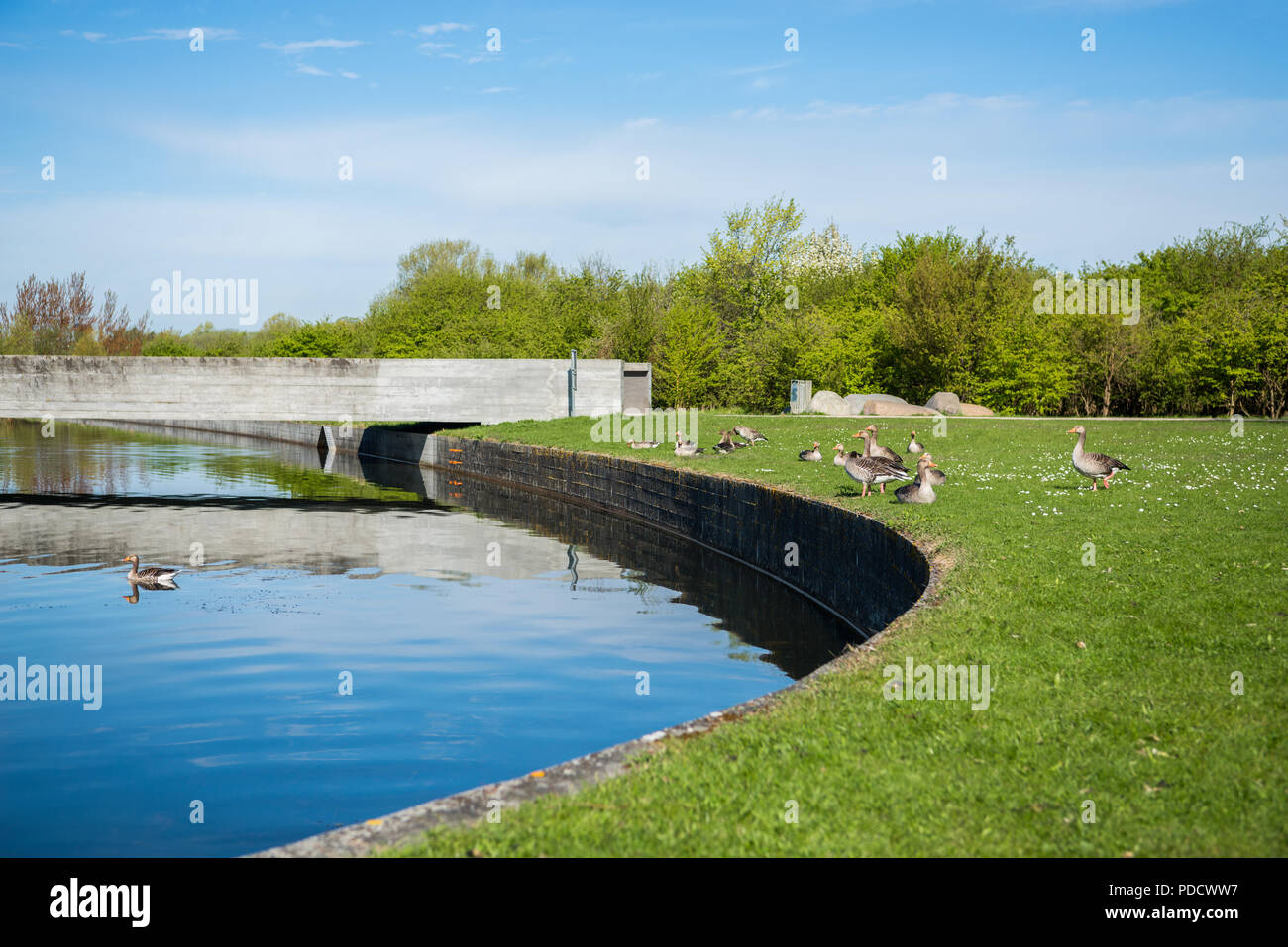 scenic view of city river and ducks on green lawn in copenhagen ...