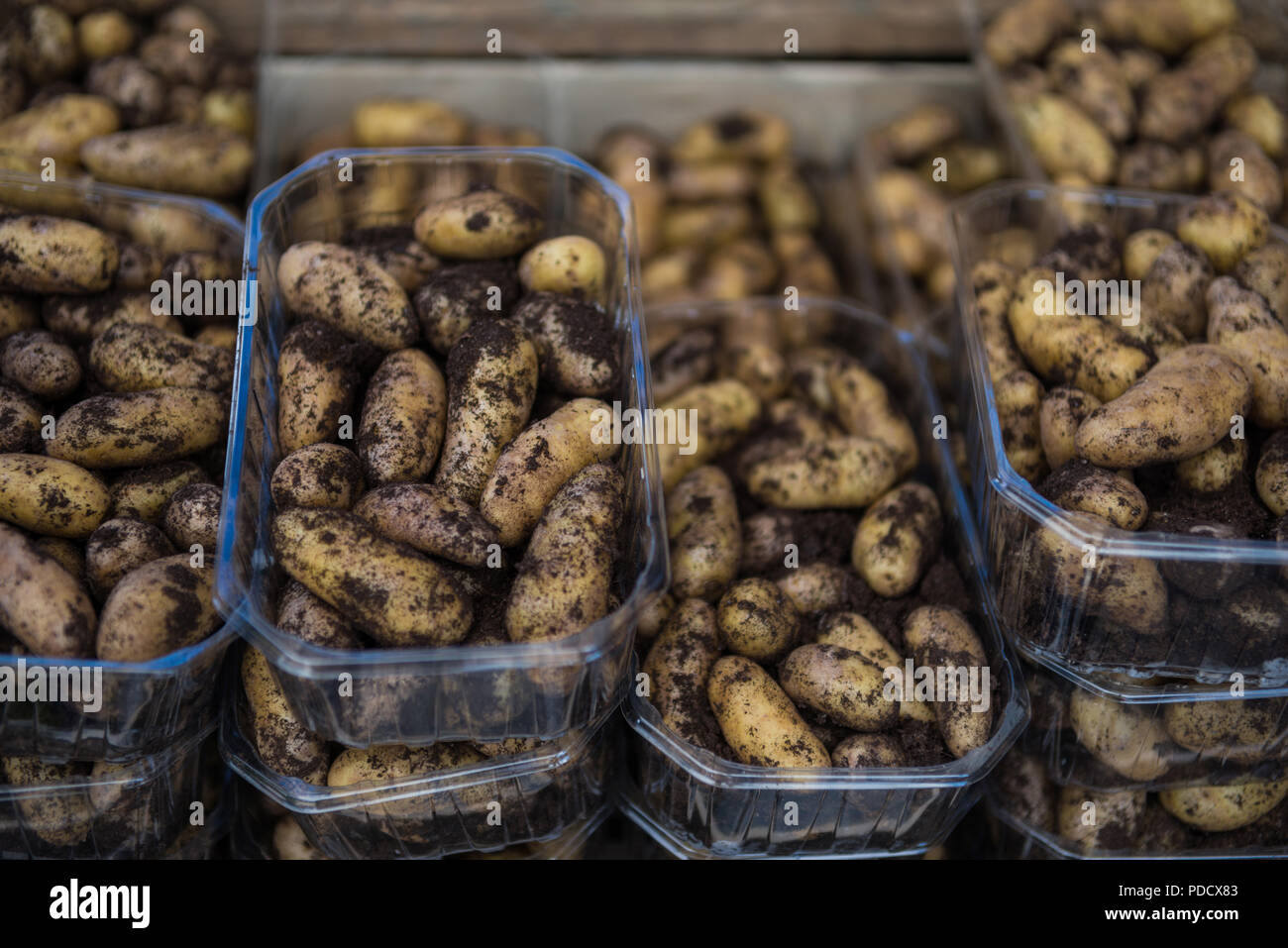 close up view of pile of potatoes in plastic boxes Stock Photo - Alamy