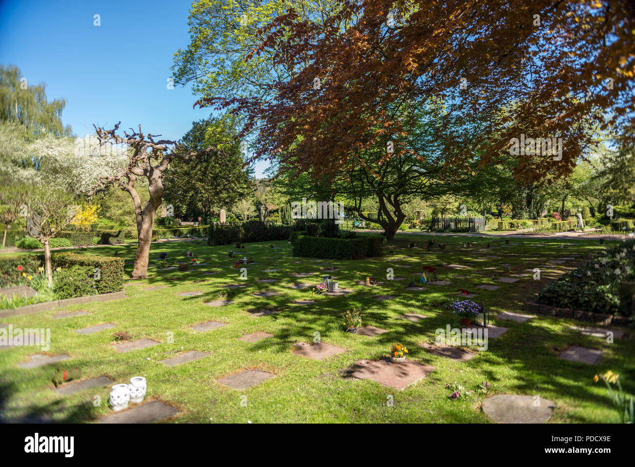green lawn with trees in botanical garden of Copenhagen, Denmark Stock ...