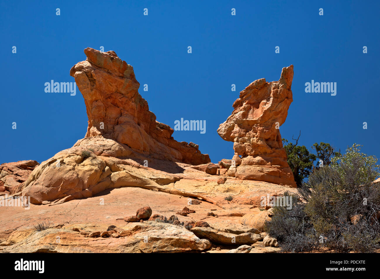 AZ00228-00...ARIZONA - Old, eroded, buttes with unusual shapes along ...
