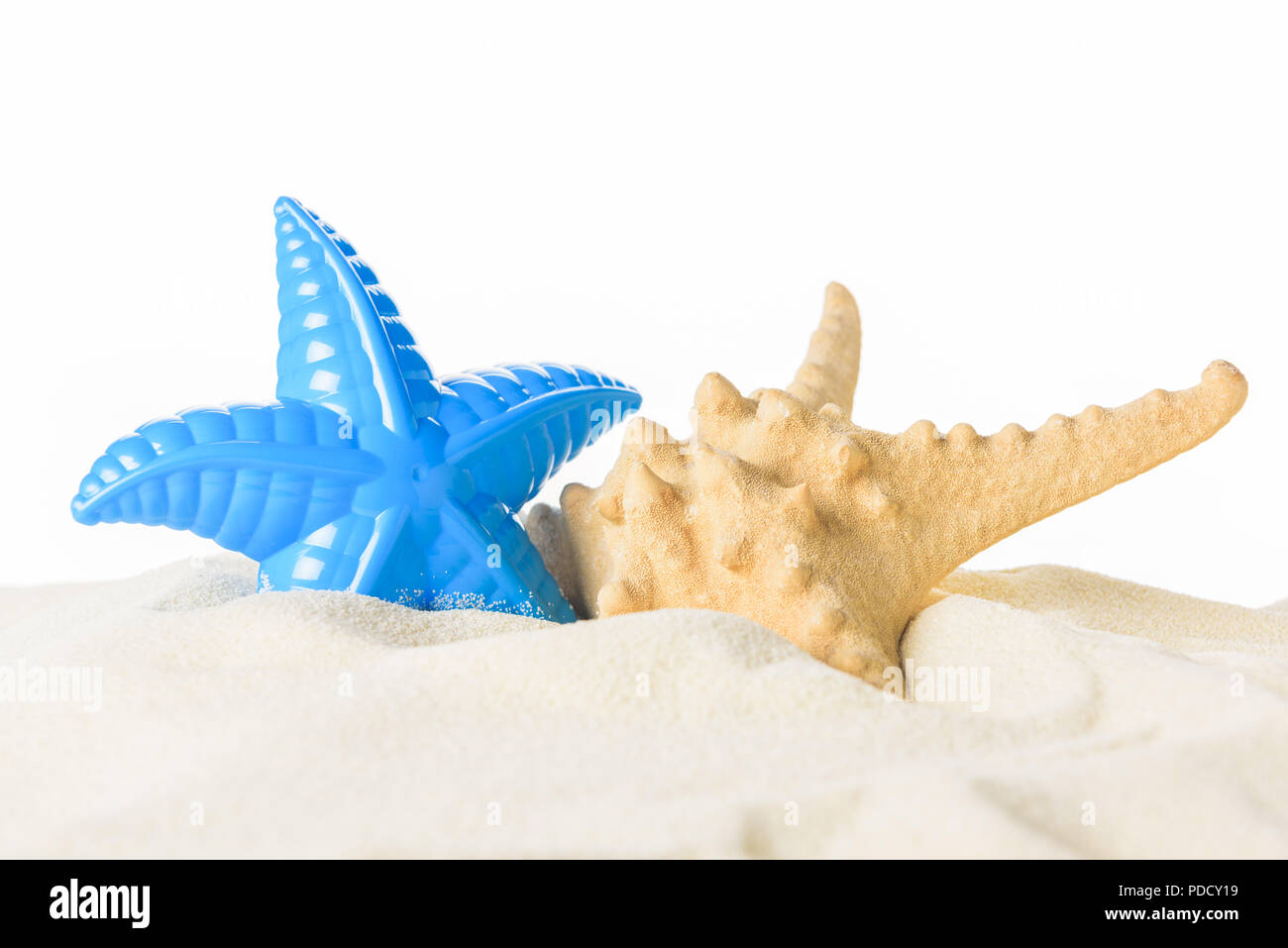 Real starfish hi-res stock photography and images - Alamy