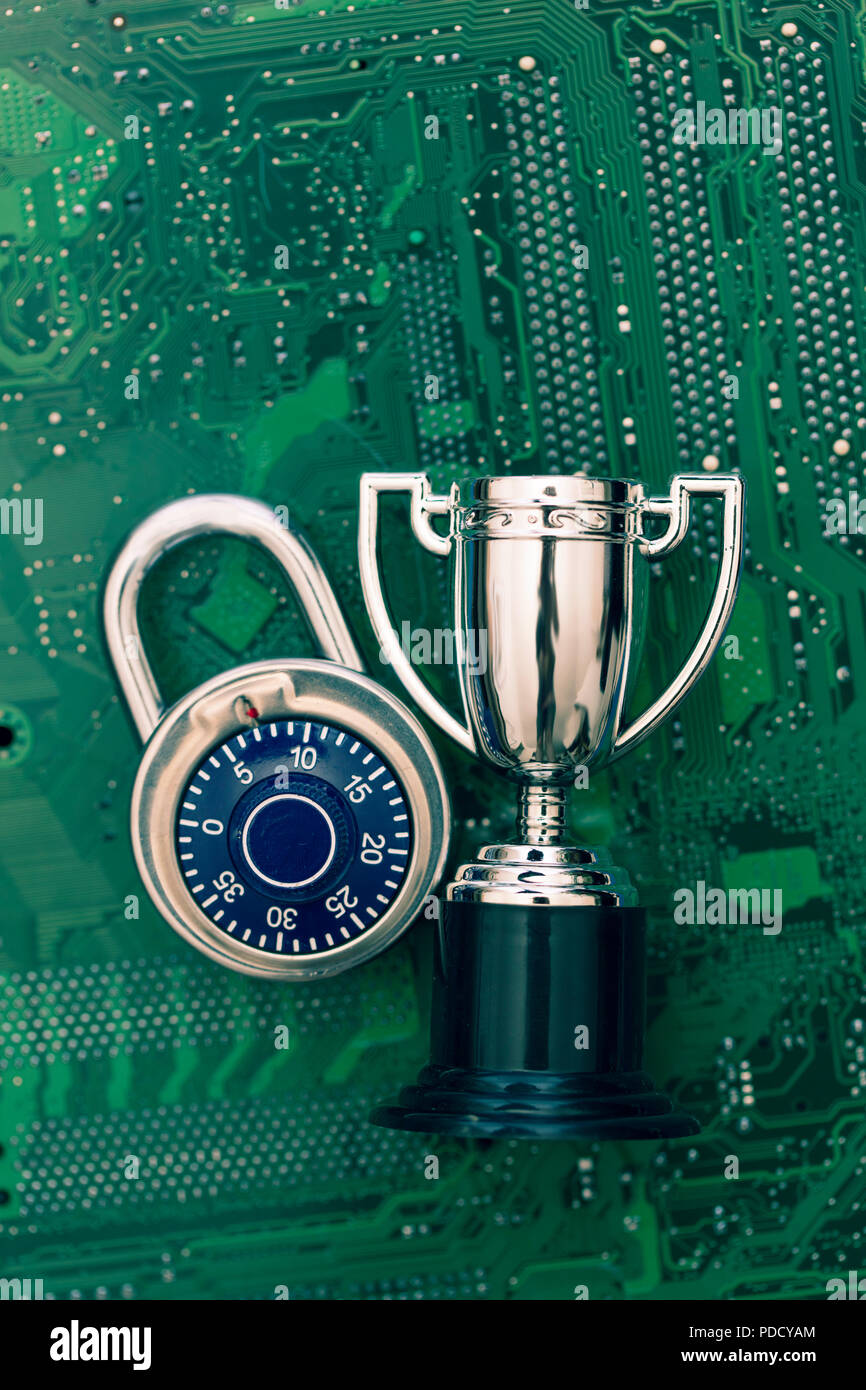 Data security expert. Padlock and trophy on a computer electronic ...