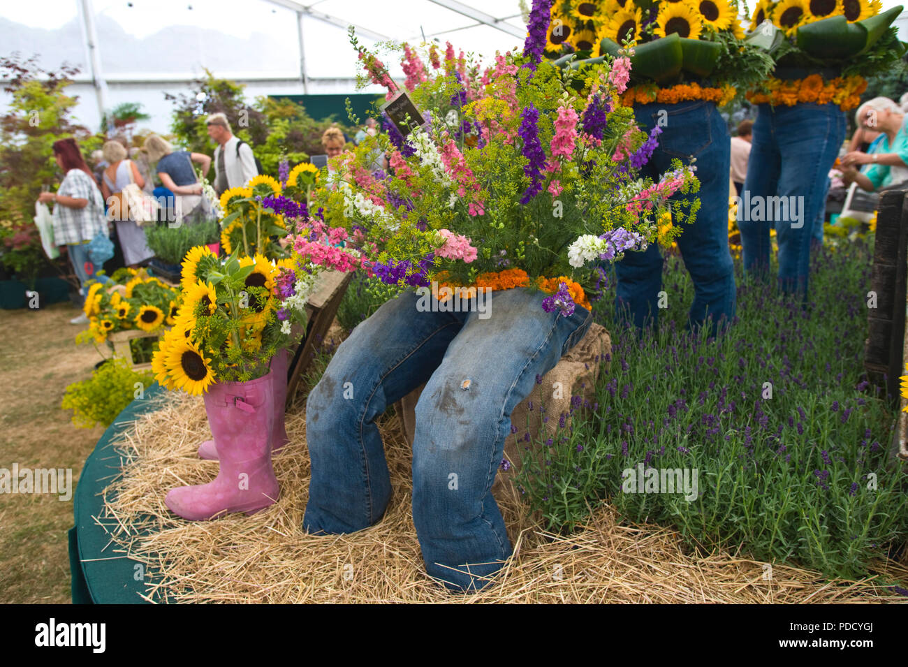Display of sunflowers in unusual growing containers at RHS Tatton Park ...