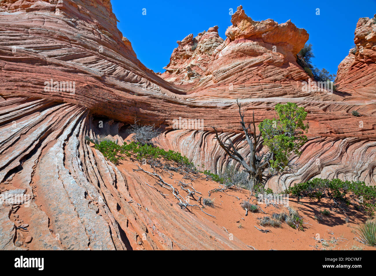 AZ00241-00...ARIZONA - Layes showing different tilts in the Cottonwood ...