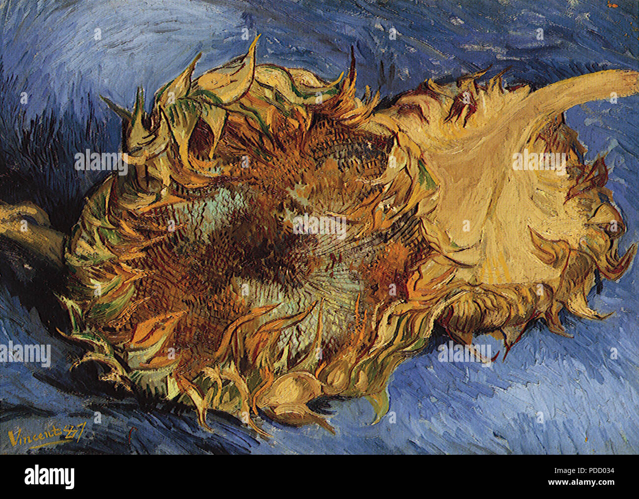 Sunflowers, Van Gogh, Vincent Willem, 1887 Stock Photo - Alamy
