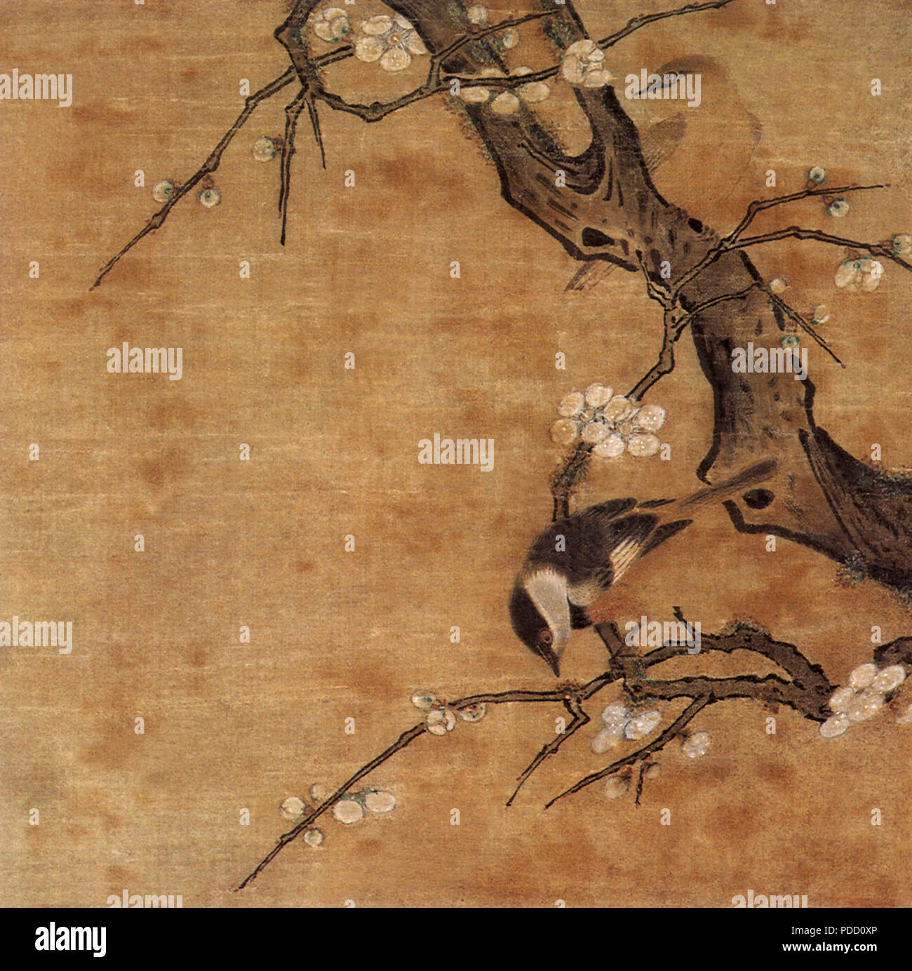 Asian birds hi-res stock photography and images - Alamy