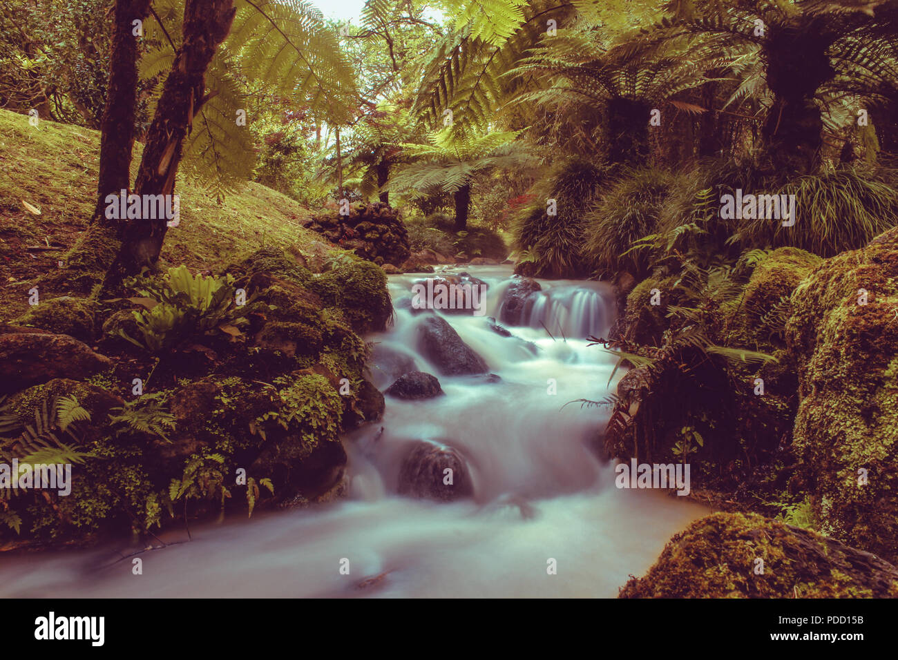 Beautiful waterfalls / cascades in Azores, Portugal. High contrast from ...