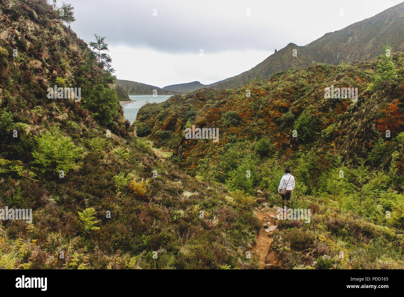 Lake situated in the crater of a dormant volcano on the Portuguese ...