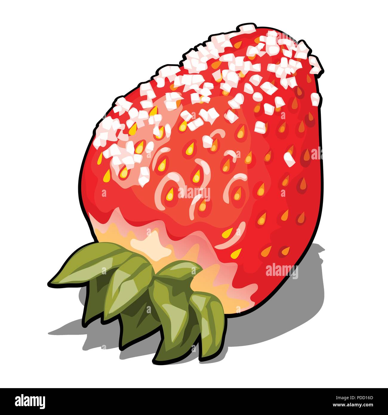 Close up gourmet harvest Stock Vector Images - Alamy