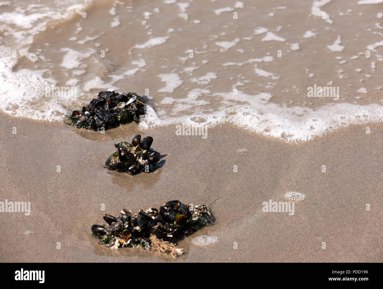 Wash on the beach hi-res stock photography and images - Alamy