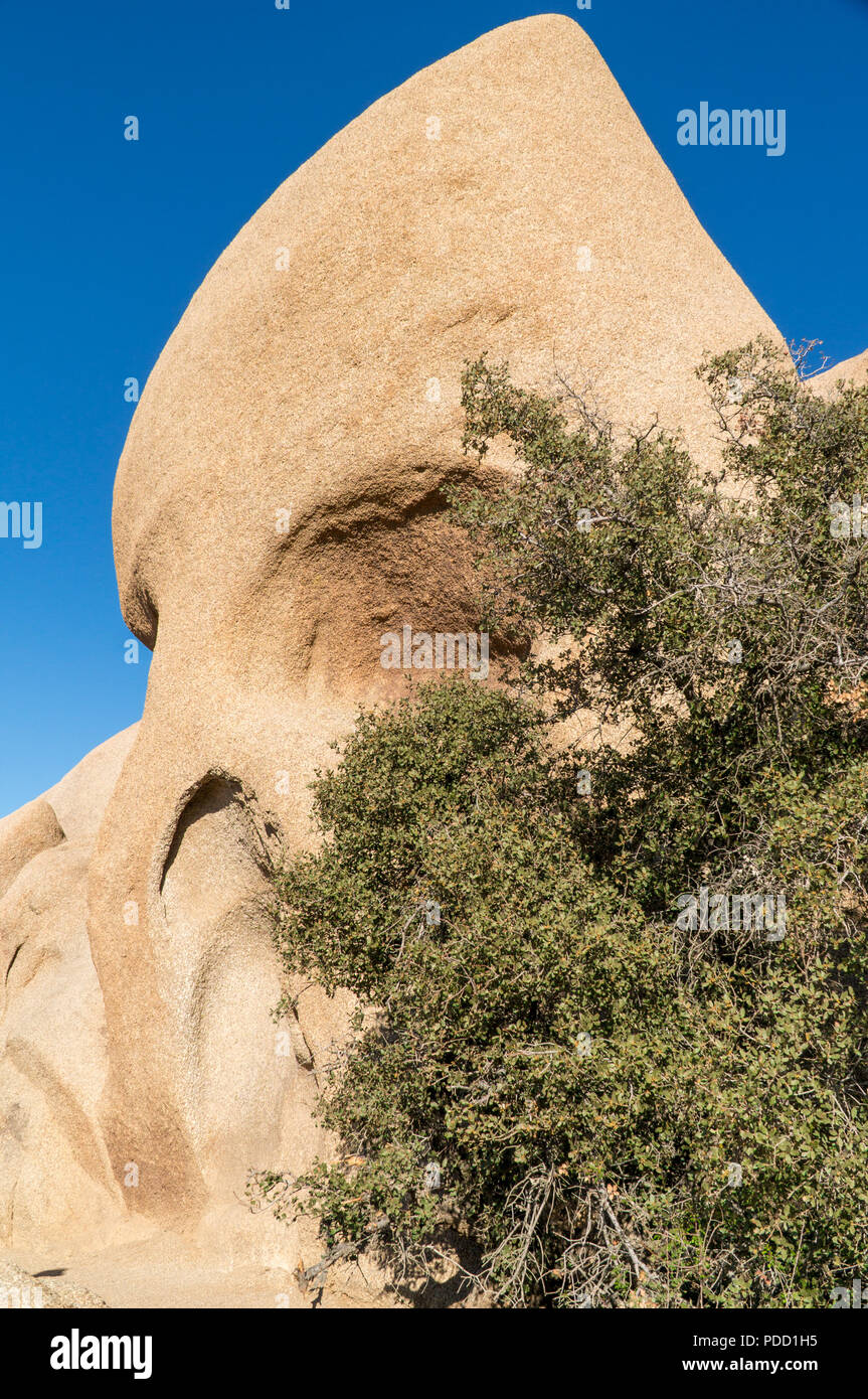 Skull rock joshua tree hi-res stock photography and images - Alamy