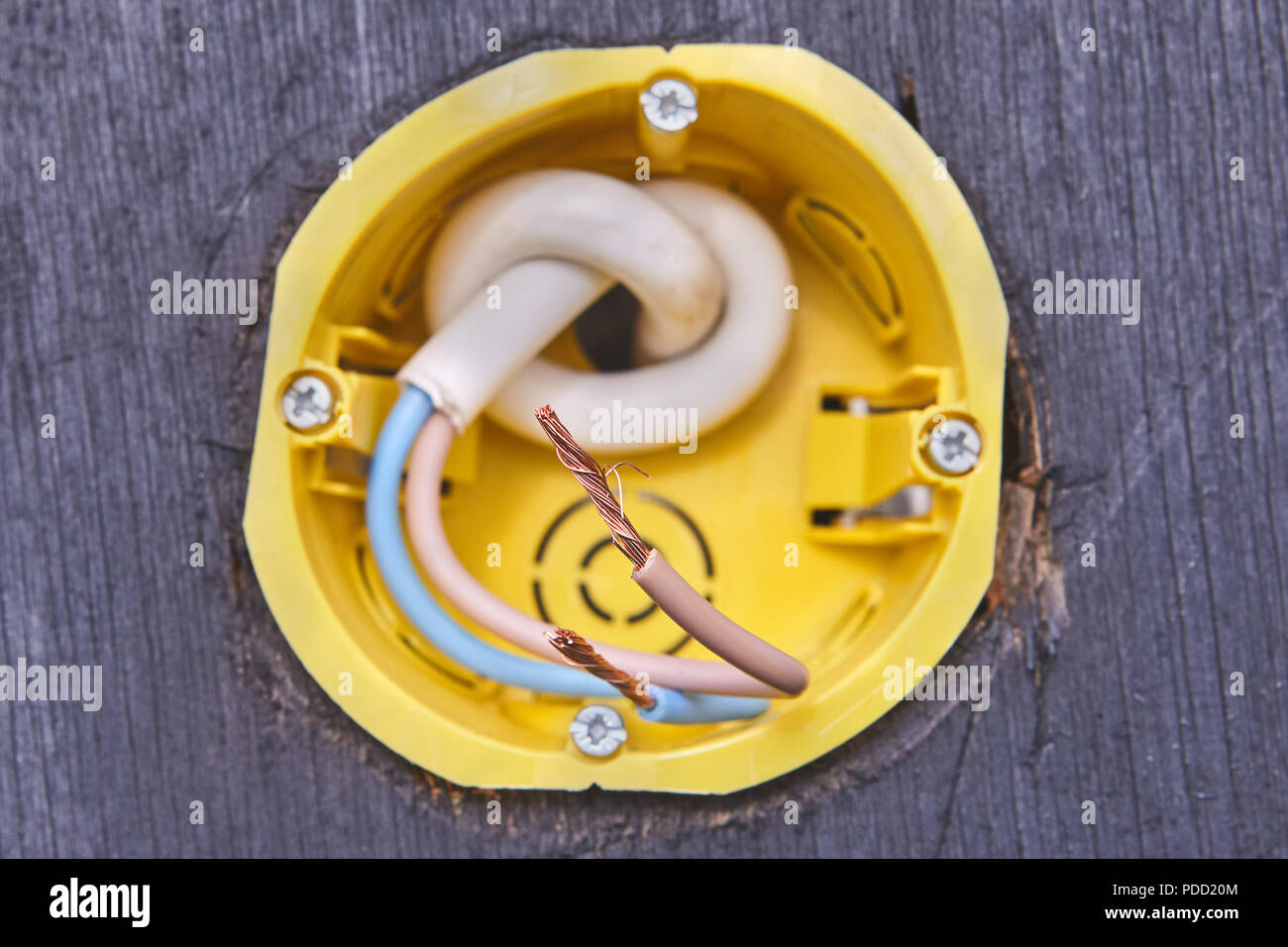 Pattress hi-res stock photography and images - Alamy
