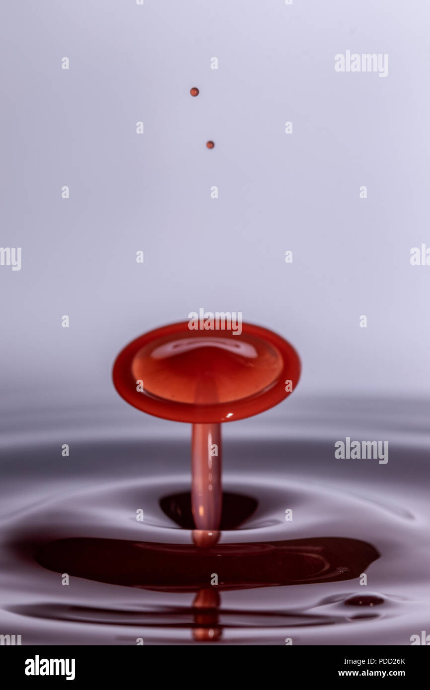 Water drop macro photograph Stock Photo - Alamy