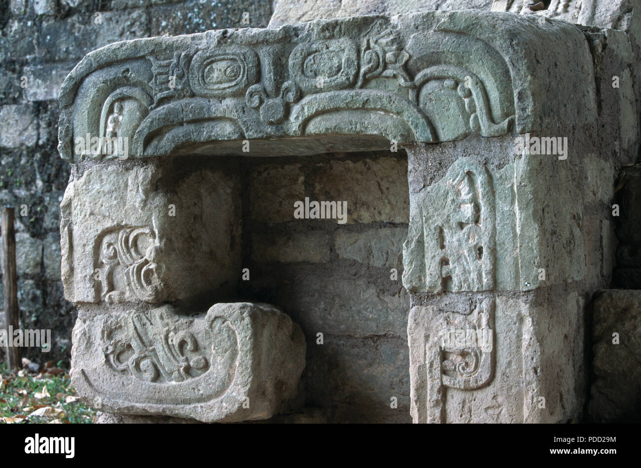 Close-up of hieroglyphic stairway in Copan, Honduras Stock Photo - Alamy