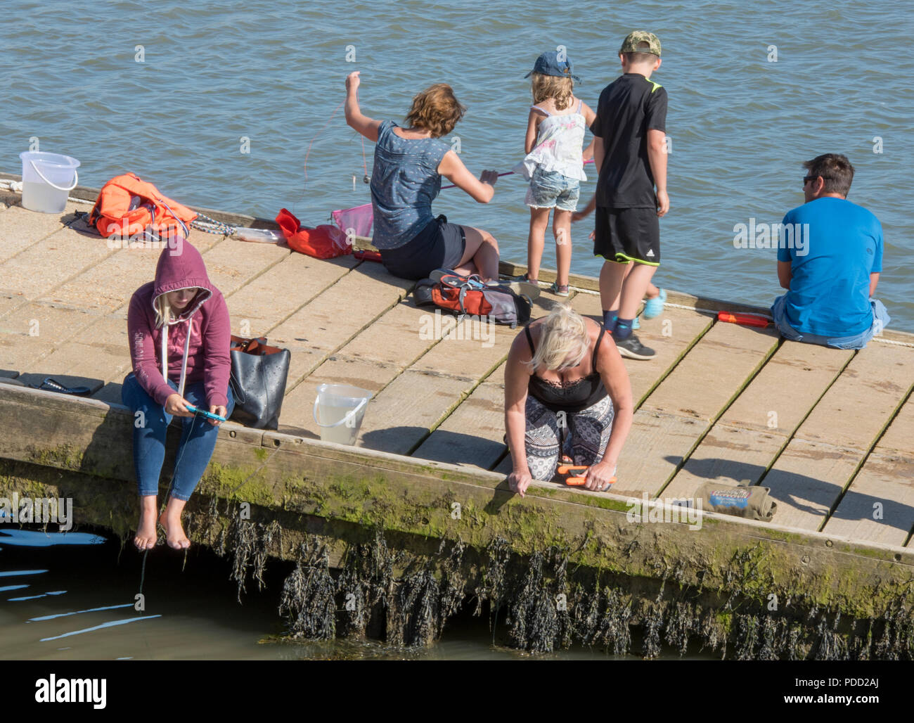 a family holiday on the isle of wight crabbing with hand held lines on ...