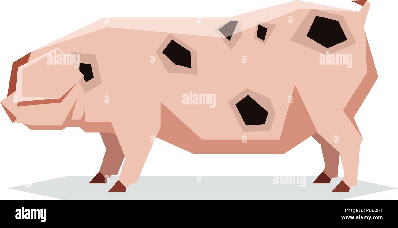 Flat geometric Gloucestershire Old pig Stock Vector Image & Art - Alamy