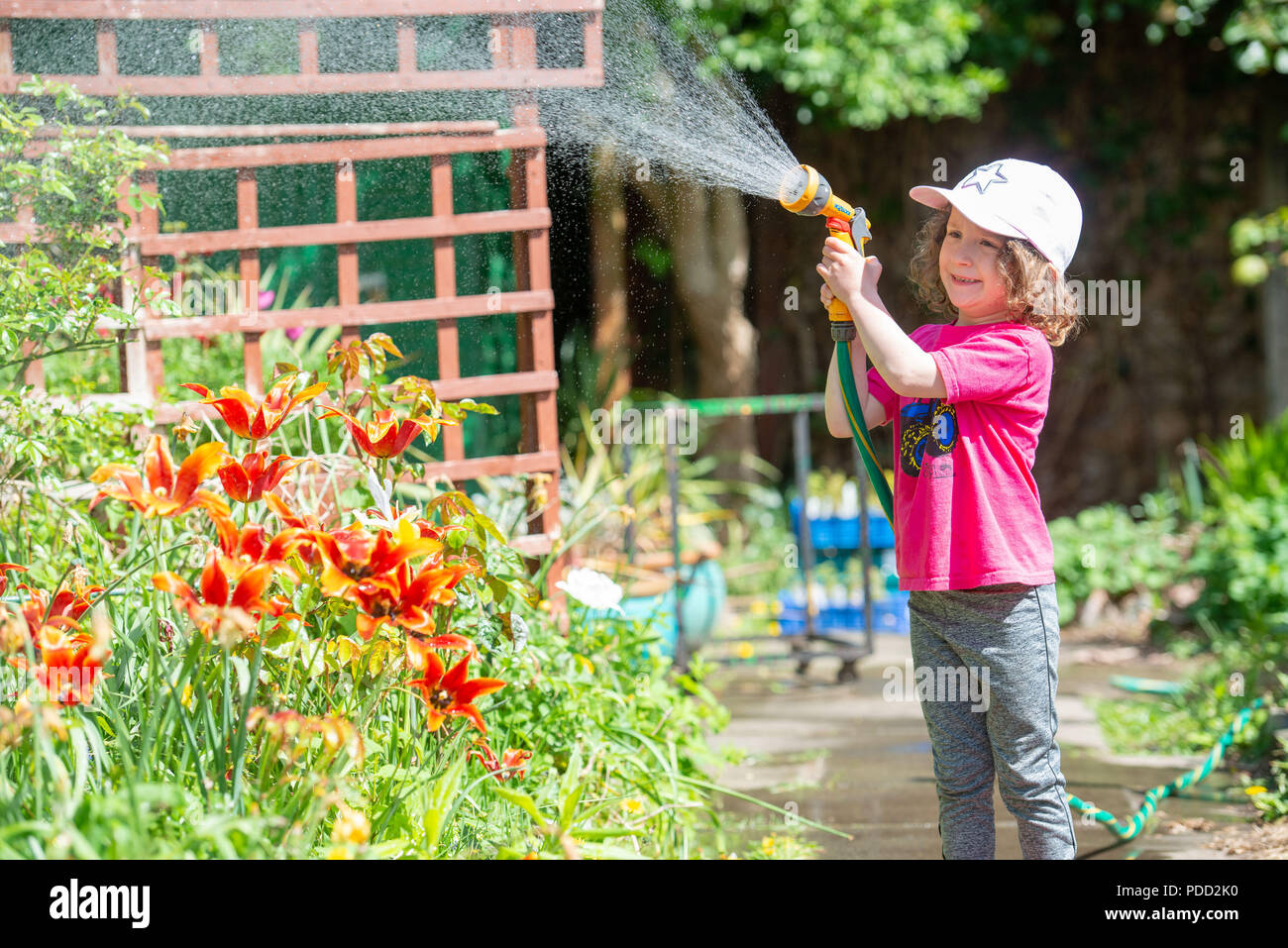 Pictured Little Helper Emily Dean 6 Gorgie City Farm Stock Photo - Alamy
