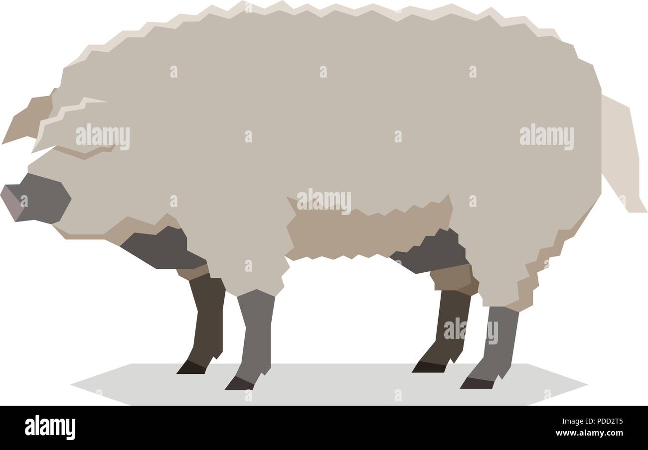 Mangalitsa Stock Vector Images - Alamy