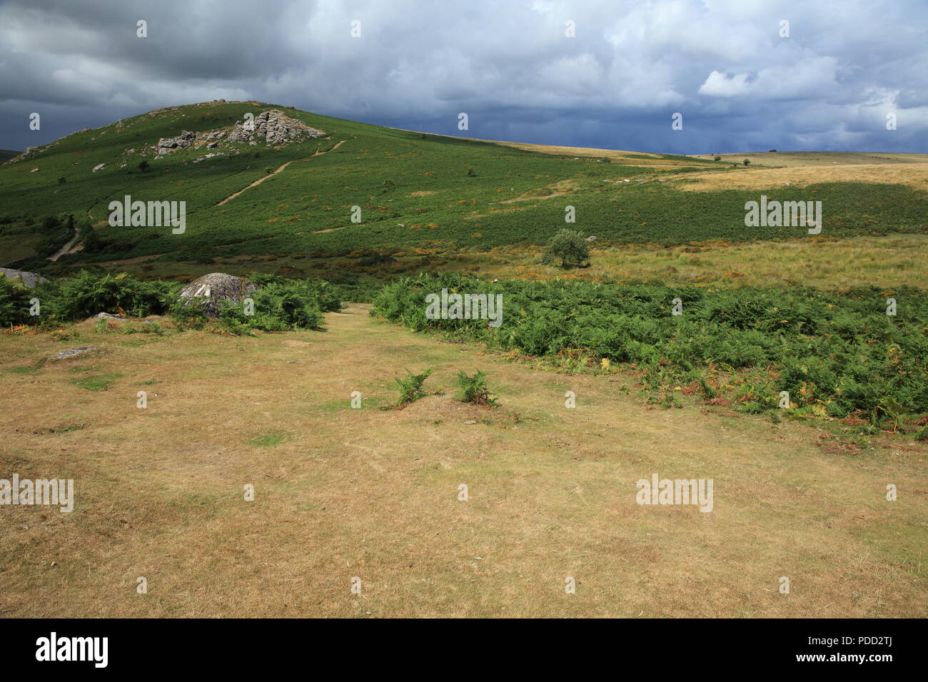 Bell tor, Dartmoor National Park, Devon, England, UK Stock Photo - Alamy